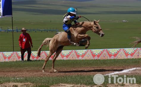 ФОТО Үндэсний их баяр наадмын дааганы уралдаан