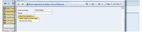 Sap Using The Button Choice Ui Element In Web Dynpro Abap