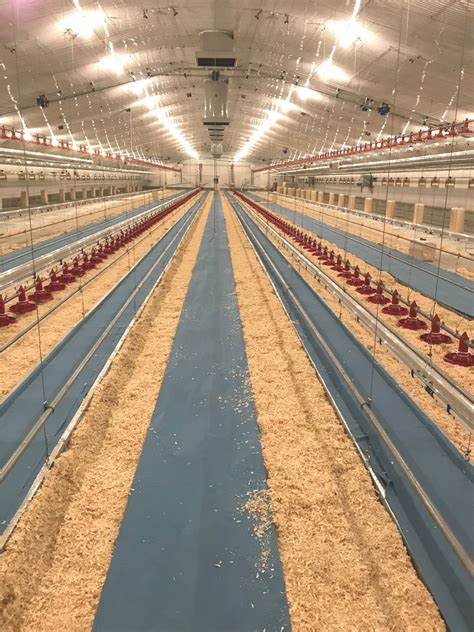 Dalton Engineering On Linkedin Daltonengineering Poultry