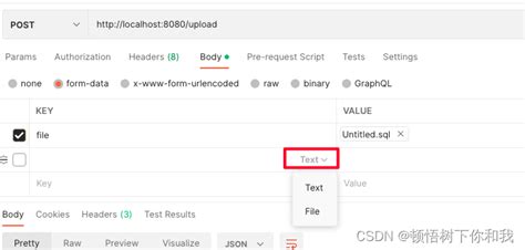 postman 使用multipartfile 上传文件 postman multipartfile csdn博客