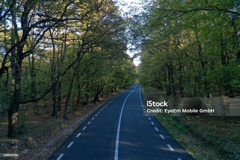 아스팔트 도로의 조감도 나무 사이의 숲 속에서 드론으로 0명에 대한 스톡 사진 및 기타 이미지 0명 가을 경관 Istock