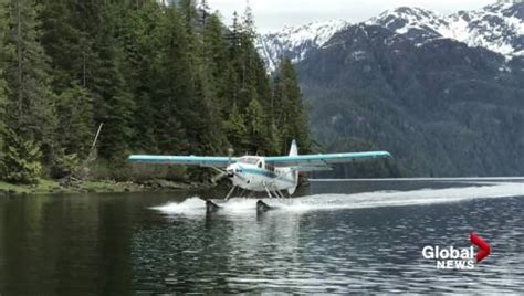 Four Dead Two Missing After Float Planes Crash In Alaska Watch News Videos Online