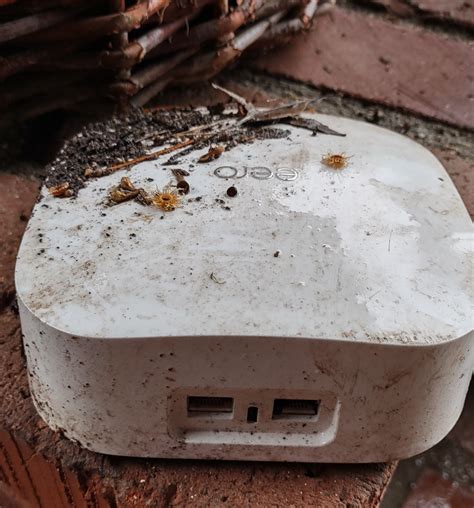 The WiFi Worked Out Back For A While R Techsupportgore