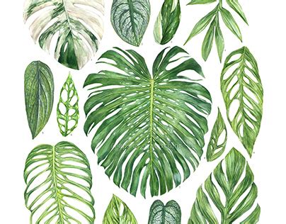 Alphabet Tree Illustration On Behance