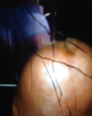 Big Mature Ass Porn Pictures Xxx Photos Sex Images Pictoa