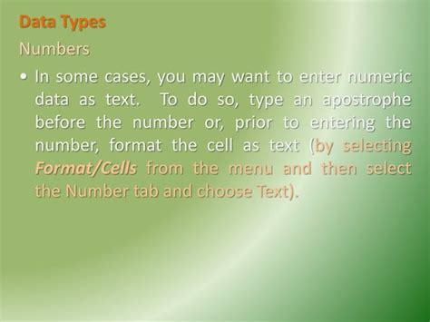 ms excel lecture pptx