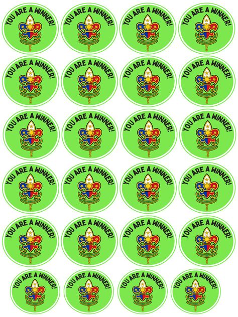 Gsp And Bsp Badge Pdf