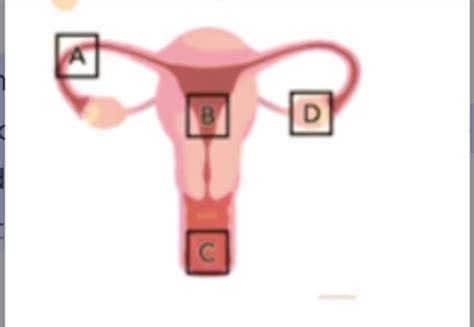 TEAS 7 SCIENCE PRACTICE Flashcards Quizlet