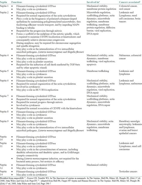 Functions Of Septins And Cancers Involved In Humans Download Scientific Diagram
