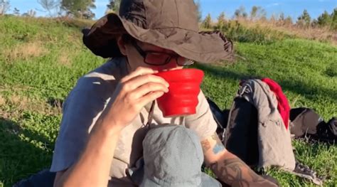 How To Make Yaupon Tea For A Delicious Alternative To Coffee Insteading