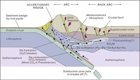 Schematic Representation Of Subduction Based Model For Ore Fluid Source Download Scientific