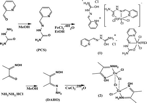 Representative Equations For Syntheses Of 1 And 2 Download Scientific Diagram
