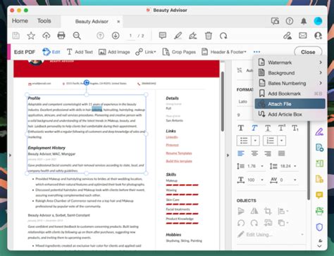 How To Edit Resume CV In PDF On PC And Mobile Phone 7 Ways Itselectable