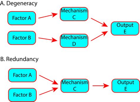 1 Degeneracy And Redundancy In Biological Systems A Conceptual Download Scientific Diagram