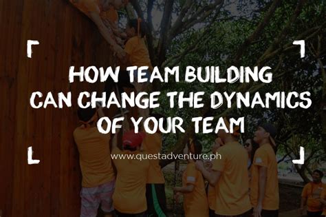 How Team Building Can Change The Dynamics Of Your Team Quest Adventure Camp