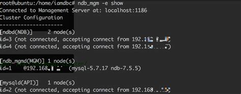 Mysql Cluster 基础配置