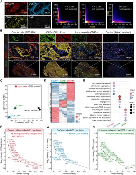 All At Once Spatial Proteome Profiling Of Complex Tissue Context With