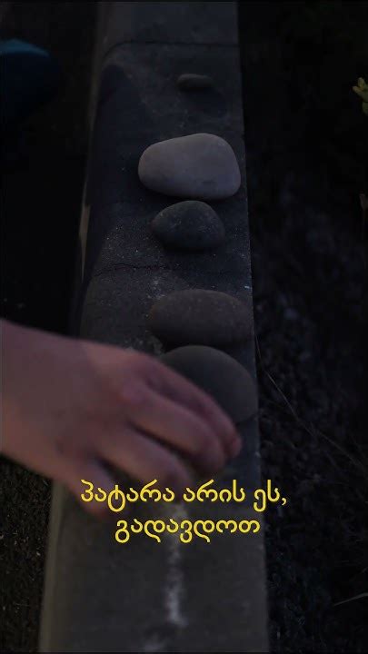 რა ალგორითმია 🤔 Shorts Programming Sortingalgorithms Youtube