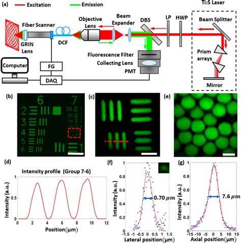 Lissajous Scanning Two Photon Endomicroscope For In Vivo Tissue Imaging Scientific Reports