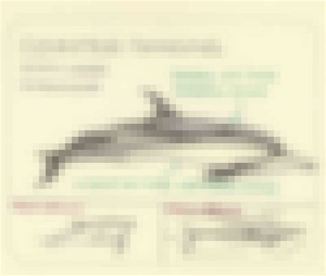 Counter Shading Sketchplanations