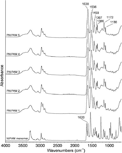 Atr Ftir Spectra Of Monomer Nipam And Pnipam Homopolymers 15