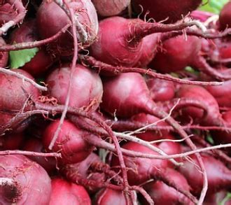 비트효능 8가지 및 부작용