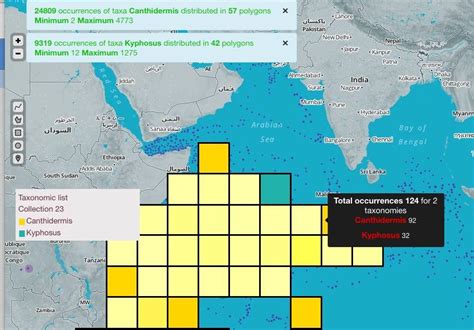 Web Mapping How To Improve Cartographic Visualization Of Overlapping