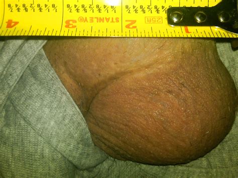 Huge Balls Measured For Size Porn Pictures Xxx Photos Sex Images