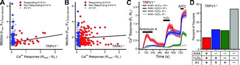 Antimycin A Induced [ca 2 ] I Responses Correlates With Mitochondrial Download Scientific
