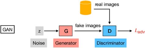 simplified architecture of a gan [2] given noise input z randomly