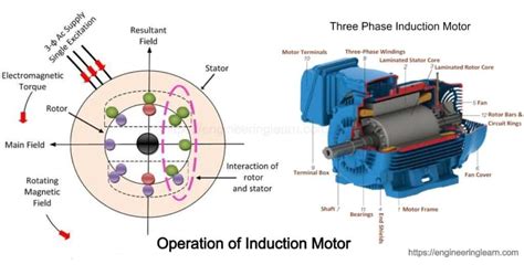 Repulsion Induction Motor Wiring Repulsion Principle Motor M