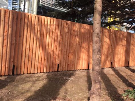 Upright Larch Fence