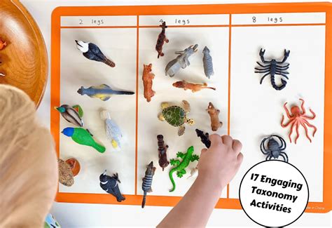 17 Engaging Taxonomy Activities Teaching Expertise