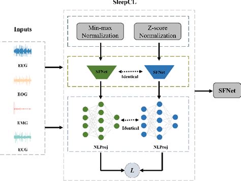 Figure 2 From Msf Sleepnet Multi Stream Fusion Network With Contrastive Learning For Sleep Stage