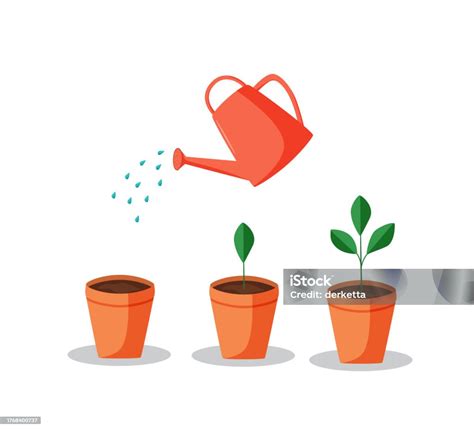 물을 뿌리면 화분에 물을 줄 수 있습니다 묘목 집 꽃에 물을 주는 벡터 그림 물뿌리개에 대한 스톡 벡터 아트 및 기타 이미지 물뿌리개 물 주기 성장 개념 Istock