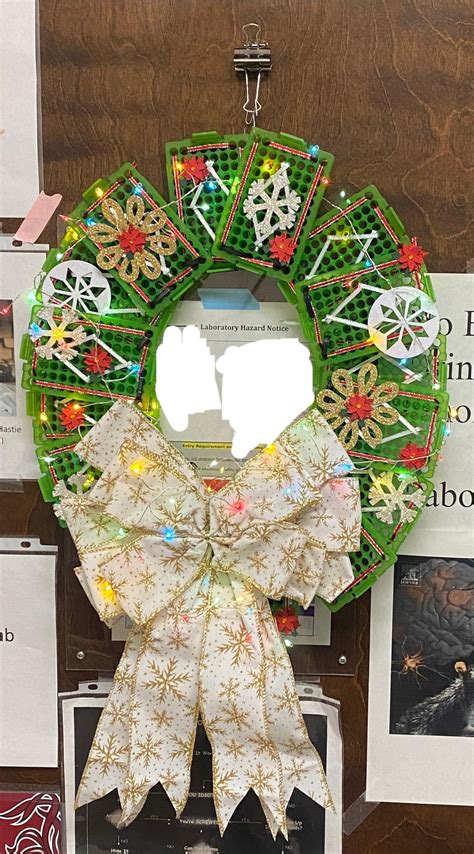 How To Remove Endotoxins During Midiprep Dna Isolation R Labrats