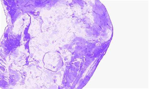 추상 그런 지 벡터 액체 프레임 배경색 프리미엄 벡터