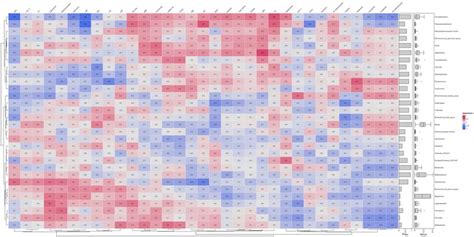 Streamline Microbiome Data Analysis With Comprehensive R Code Phyloseq Correlation And