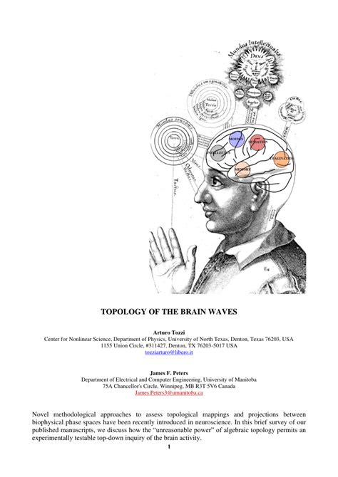PDF TOPOLOGY OF THE BRAIN WAVES