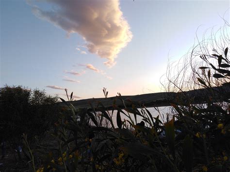 요가 동기 부여 퀴즈 Pixabay의 무료 사진 Pixabay