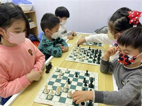 Ec Chess Education