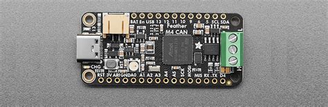 feather of the day adafruit feather m4 can express with atsame51 feather microchipmakes