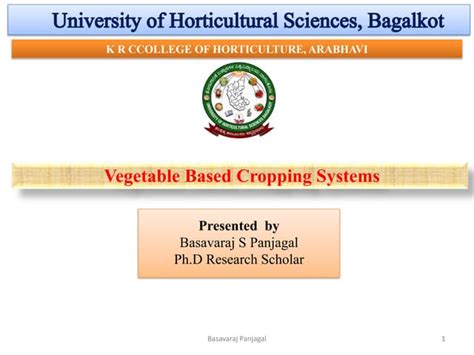 Multiple Cropping Systems Pptx