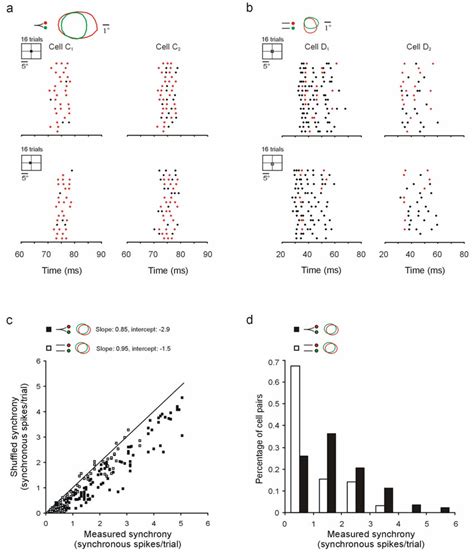 Small Transient Stimuli Generate ~2 Times More Synchronous Spikes In