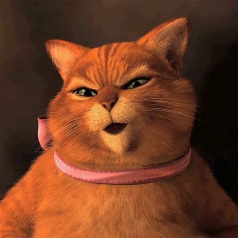 ხორკლიანი კატა Youtube