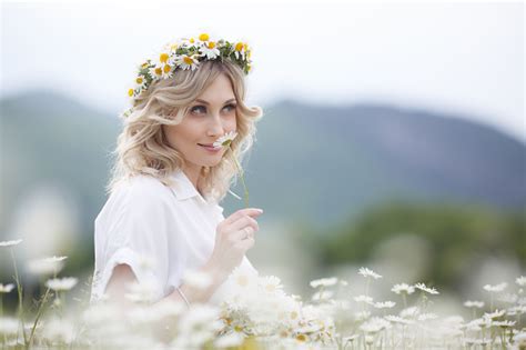 피 산 풀밭에 화이트 데이지의 꽃다발과 함께 야외에서 아름 다운 여자 여자에 대한 스톡 사진 및 기타 이미지 여자 꽃 식물 화관 Istock