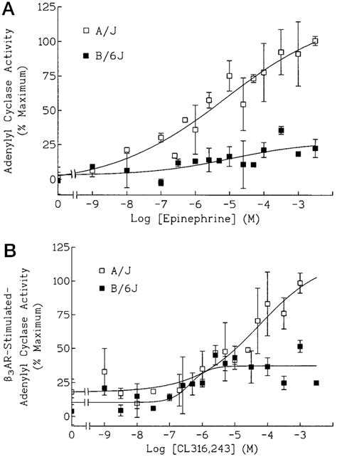 Adenylyl Cyclase Activity In Epididymal Wat Of A J And B 6j Mice Download Scientific Diagram