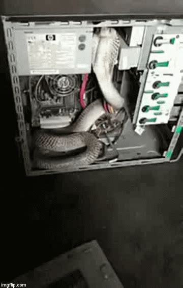 Python Can Anyone Tell What Version Of Python Is Installed On My