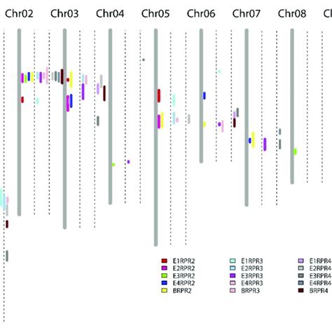 Qtl Mapping Of Rind Penetrometer Resistance Across Four Environments Download Scientific
