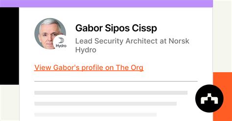 Gabor Sipos Cissp Lead Security Architect At Norsk Hydro The Org